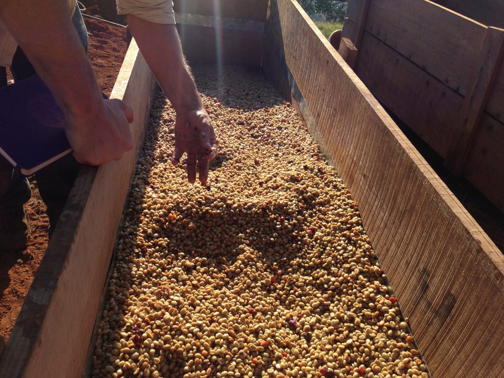 Blog – Christopher Feran